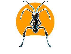 About – Ant Power